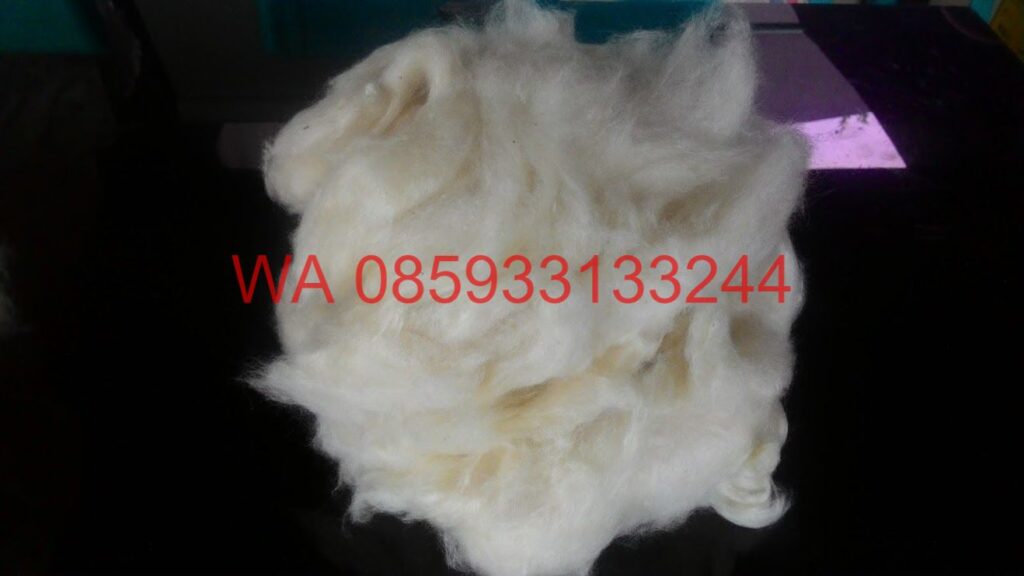 Kapok Filling 101: All You Need To Know - Kapok Fiber