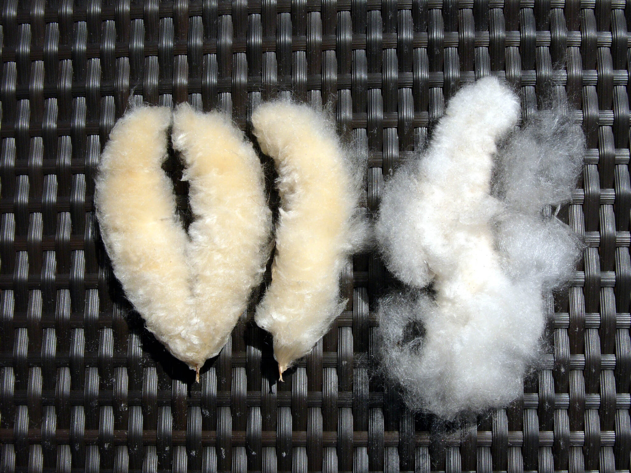 Get to Know the Potential Use of Kapok Filling - Kapok Fiber Wholesale ...