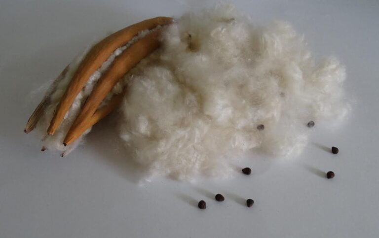 Four Benefits of Kapok Filling for Environment - Kapok Fiber