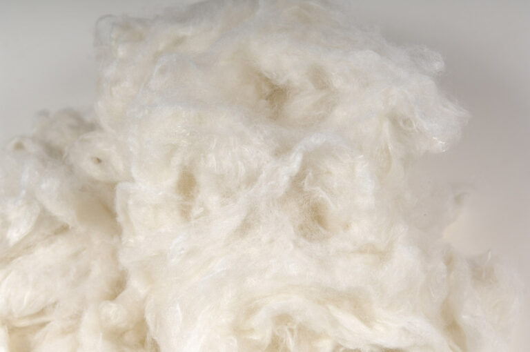 More About Kapok Growth And Ecology - Kapok Fiber Suppliers