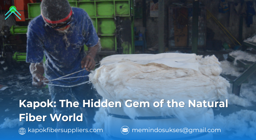 Kapok: The Hidden Gem of the Natural Fiber World