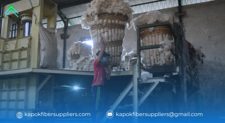 7 Reasons Kapok Might Be the World’s Most Underrated